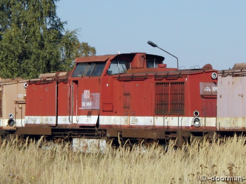 Baureihen/Diesel/V 100 DR/110 109-6 - 202 109-5